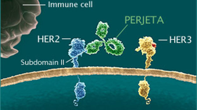 Roche’s Perjeta® Regimen For Breast Cancer Found to Greatly Extend Patients’ Lives: Phase III ...